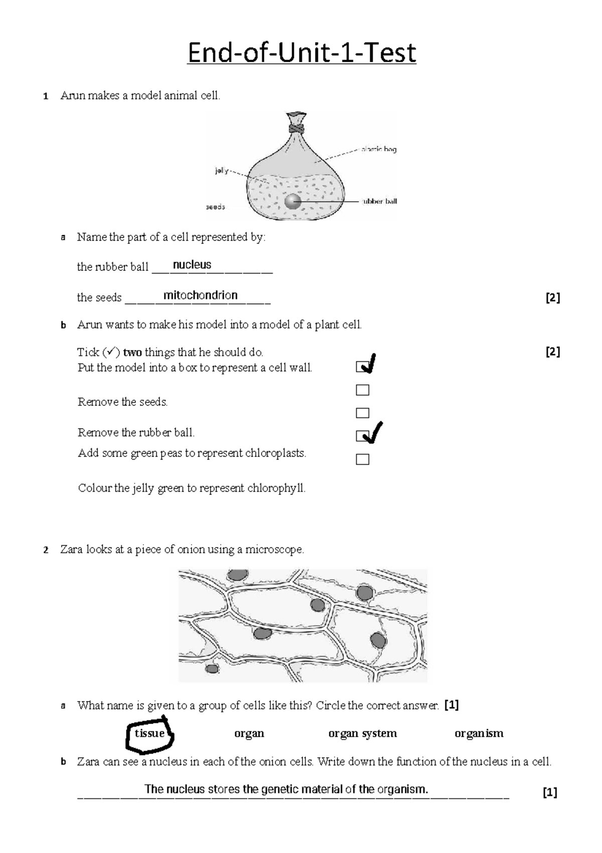 YEAR 7 (1,4,7) - Animal and Plant Cell Model Study Guide - Studocu