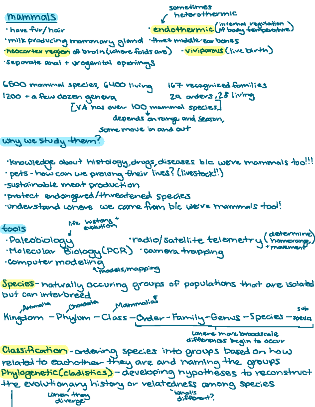 Mammalian Evolution and Traits: A Comprehensive Overview (BIO 101 ...