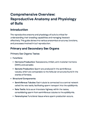 Overview of Male Reproductive Anatomy and Physiology in Bulls ...