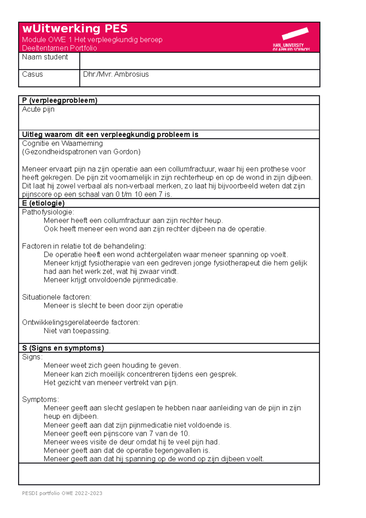 PES Structuur Voorbeeld voor HBO-V OWE 1 - Eerste Jaar Document ...
