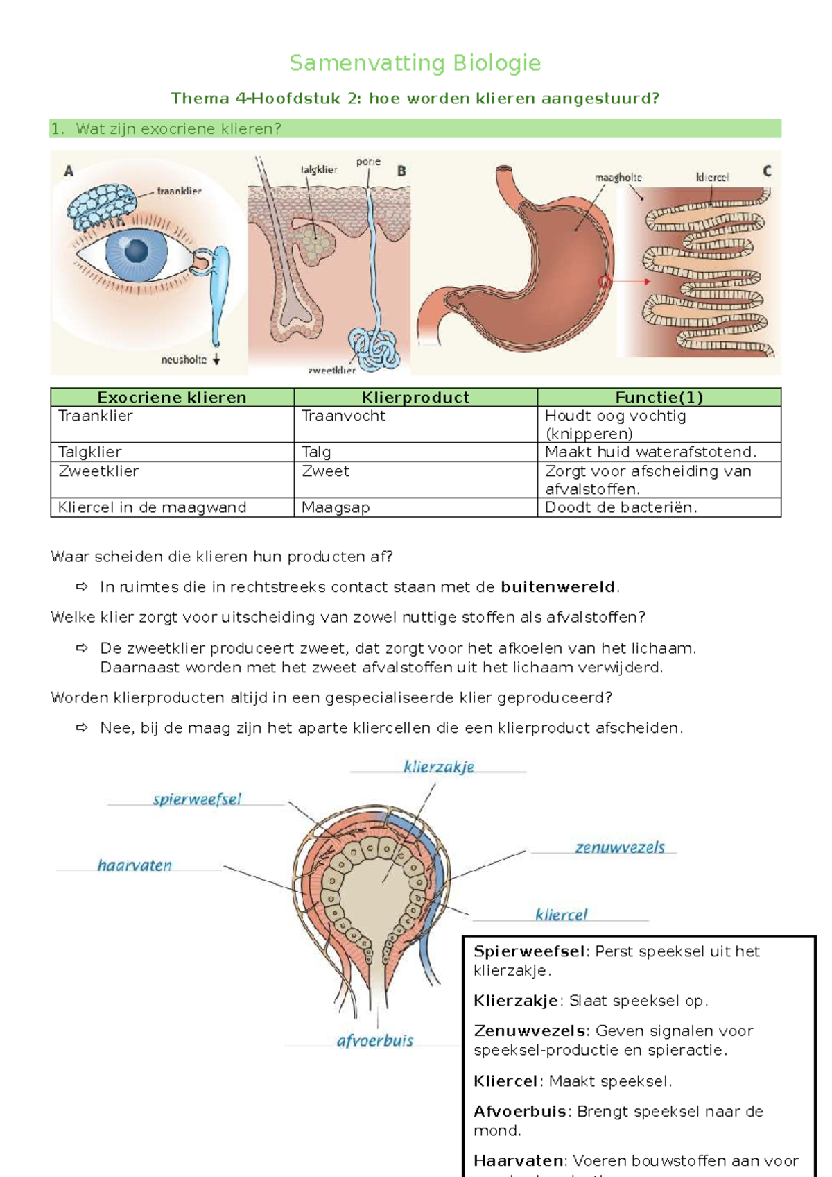 Samenvatting Biologie Thema 4: Klierfunctie en Regulatie - Studocu