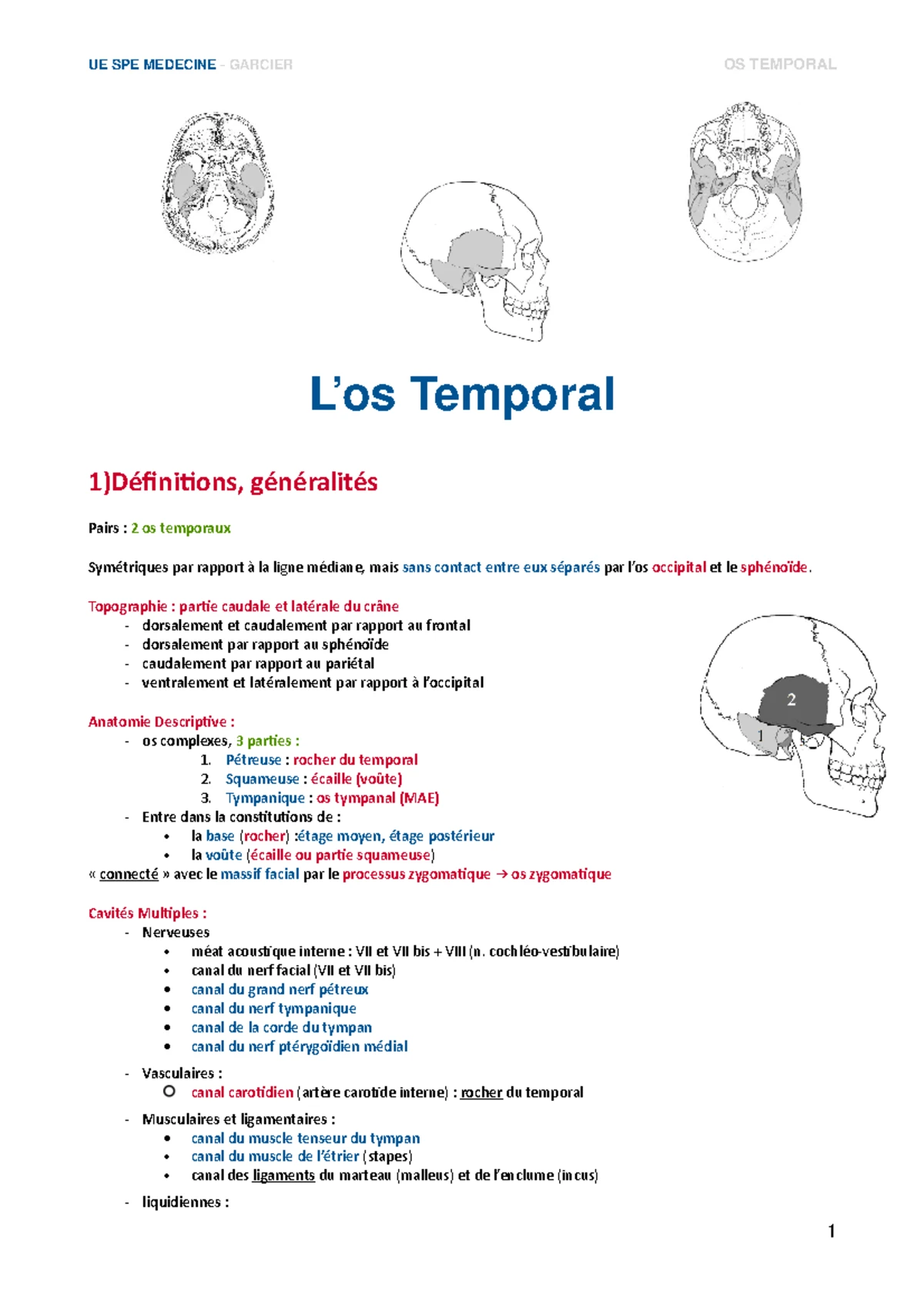 ANATOMIE DU CRÂNE : L'OS TEMPORAL - CRÂNE : OS TEMPORAL I - GENERALITES ...