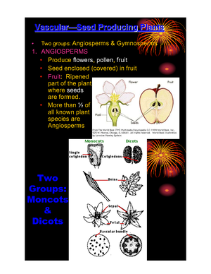Comprehensive Guide to Plant Biology (Biology 101) - Comprehensive ...
