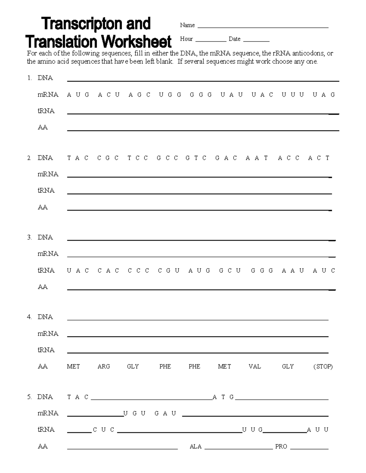 Transcription and Translation Worksheet (Bio 101) - Studocu