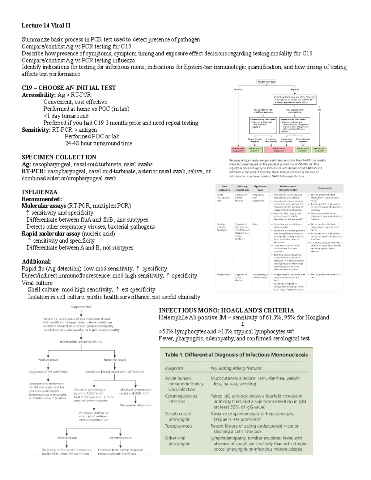 Lab Mex Exam 3 Viral II - C19 and EBV - Lecture 14 Viral II Summarize ...