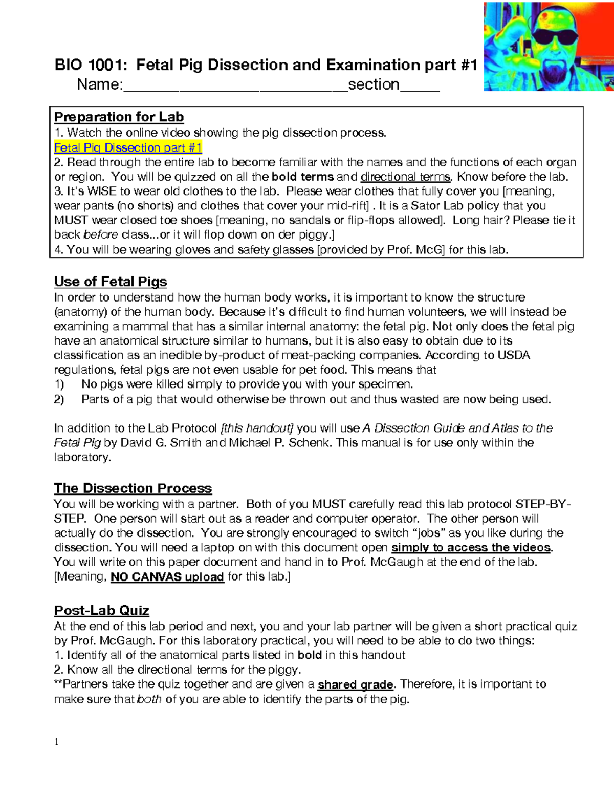 BIO 1001: Fetal Pig Dissection Lab Protocol & Techniques Guide - Studocu