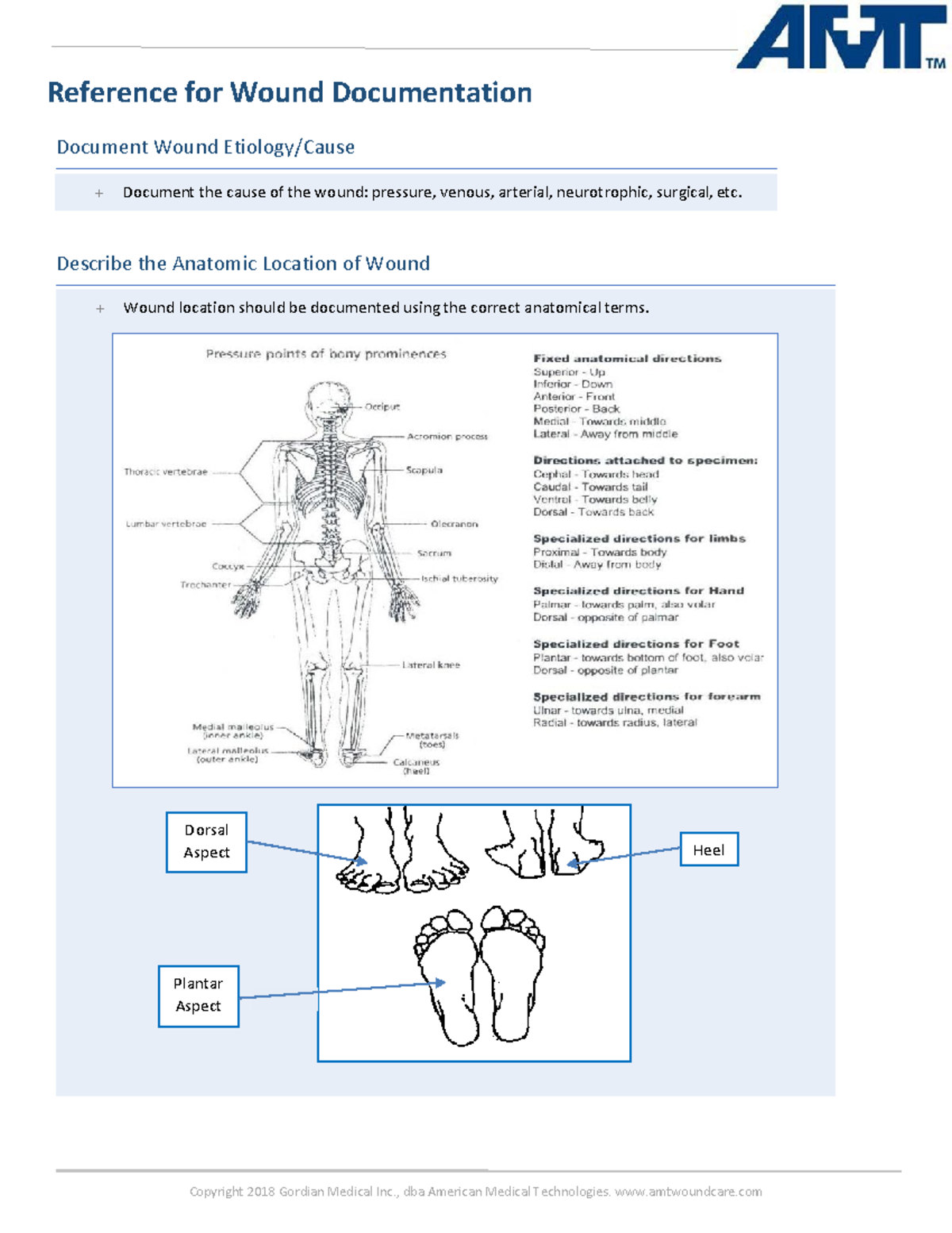 Amt-wound-documentation-reference - updated per 6 - Reference for Wound ...