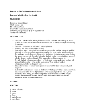 The Components of Labor - Passage (pelvis) 2. Passenger (fetus) 3 ...