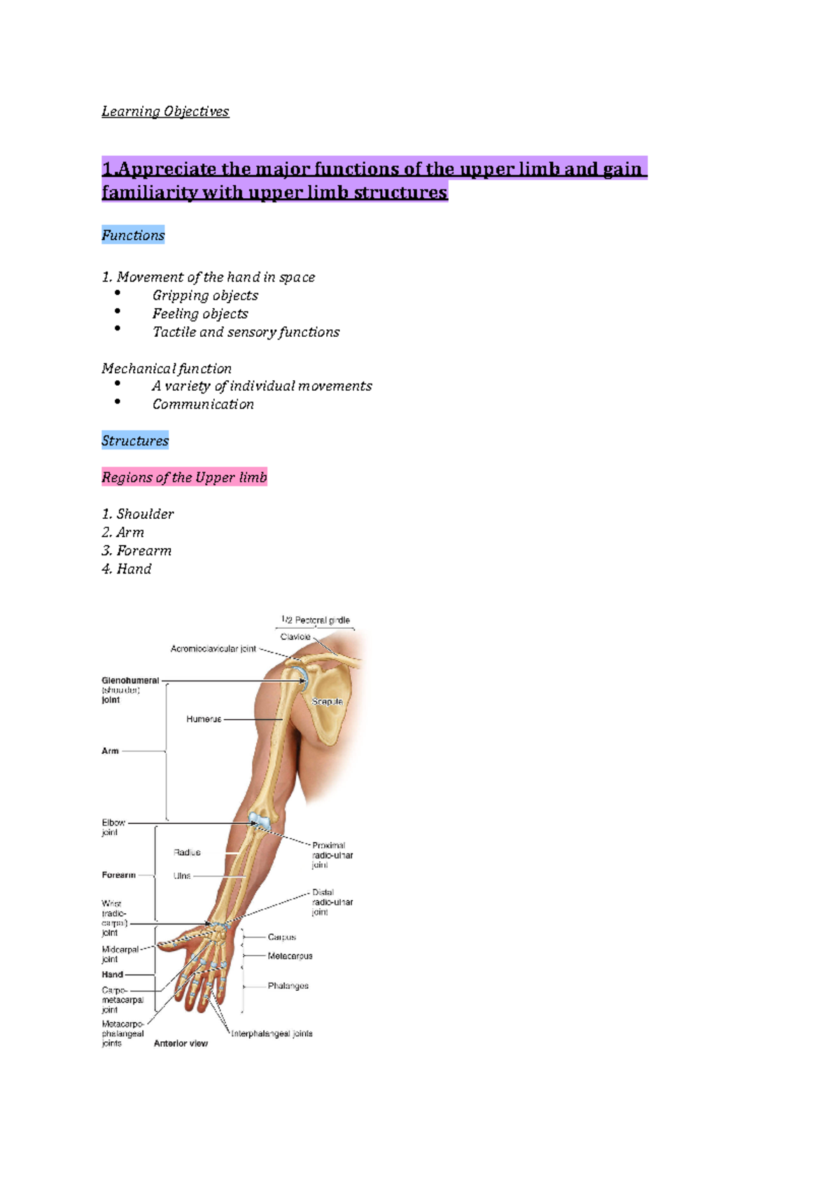 Upper Limb Anatomy - Lecture Notes 1: Functions, Structures ...