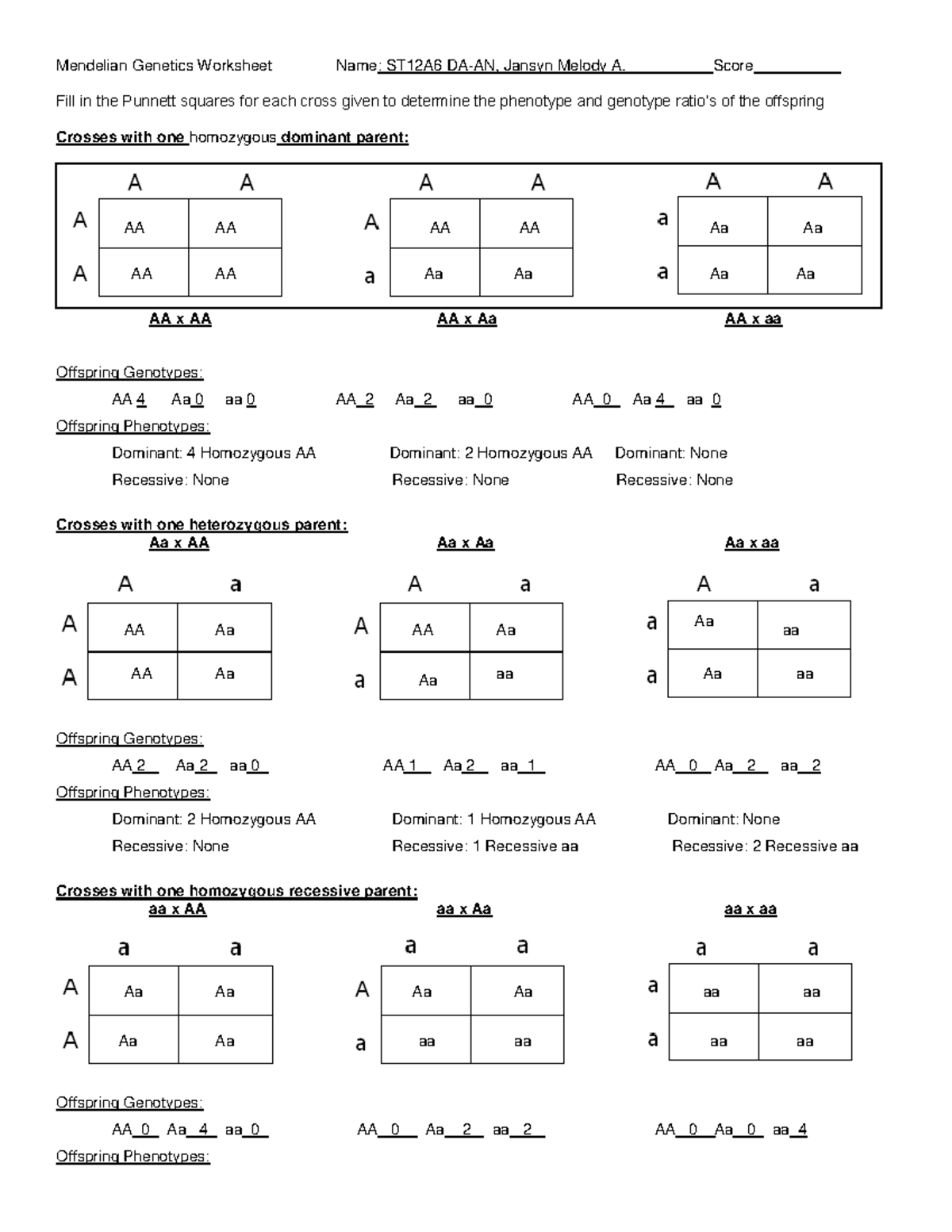 BIO 12A6 Punnett Square Worksheet and Mendelian Genetics Review - Studocu