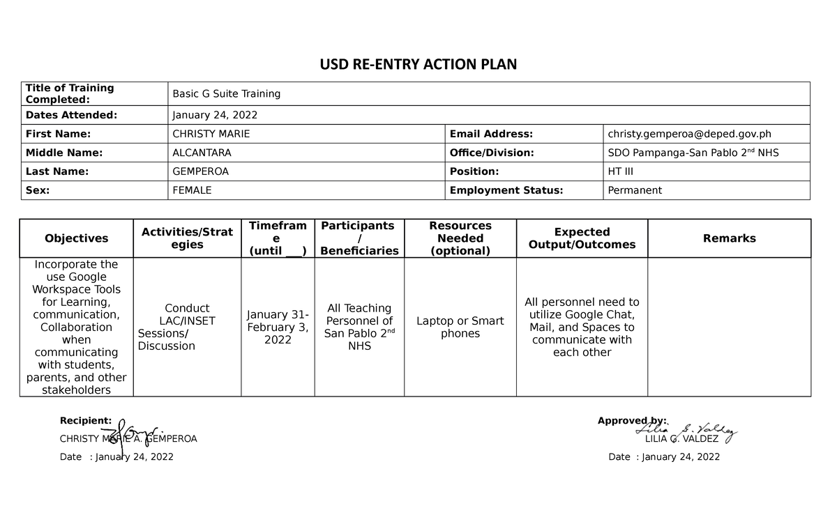 Re-Entry Action Plan (REAP) Template for Google Workspace Training ...
