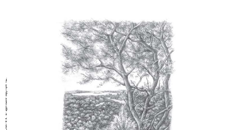 Daniel Coleman 2017: Holy Land Yardwork - A Biography of Place - Studocu