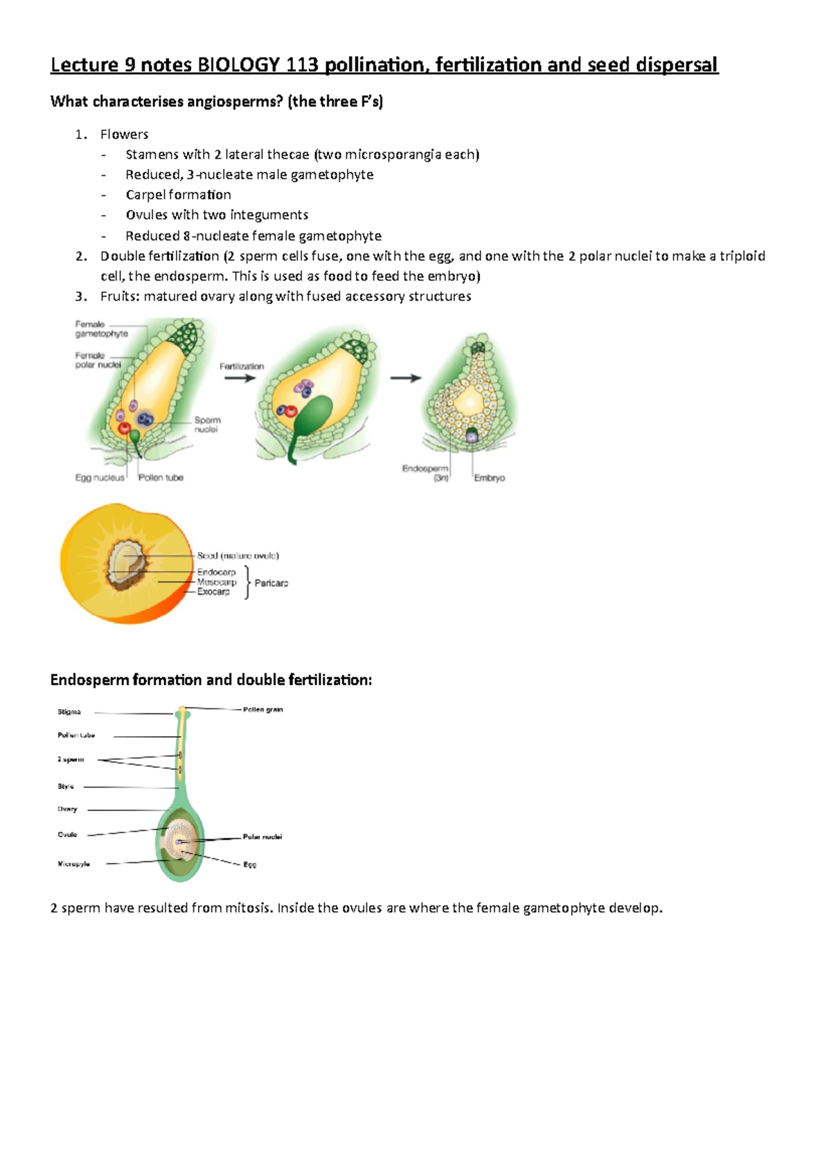 BIOLOGY 113 Lecture 9 Notes: Pollination, Fertilization & Seed ...