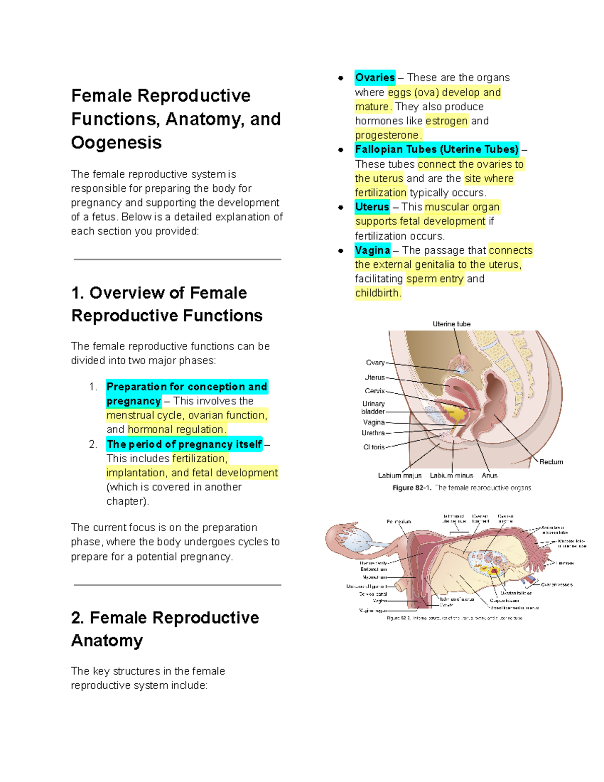 Female Reproductive System: Functions, Anatomy, and Oogenesis Overview - Studocu