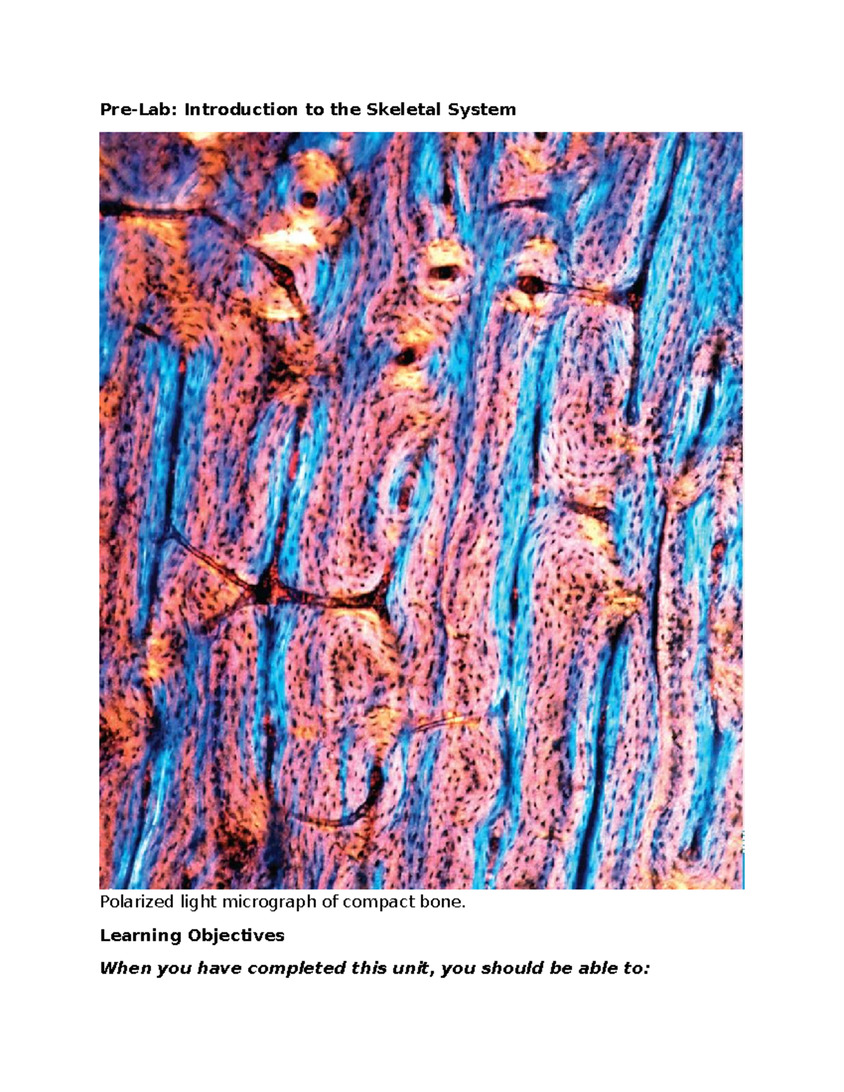 Introduction to the Skeletal System: Compact Bone Structure and Function - Studocu