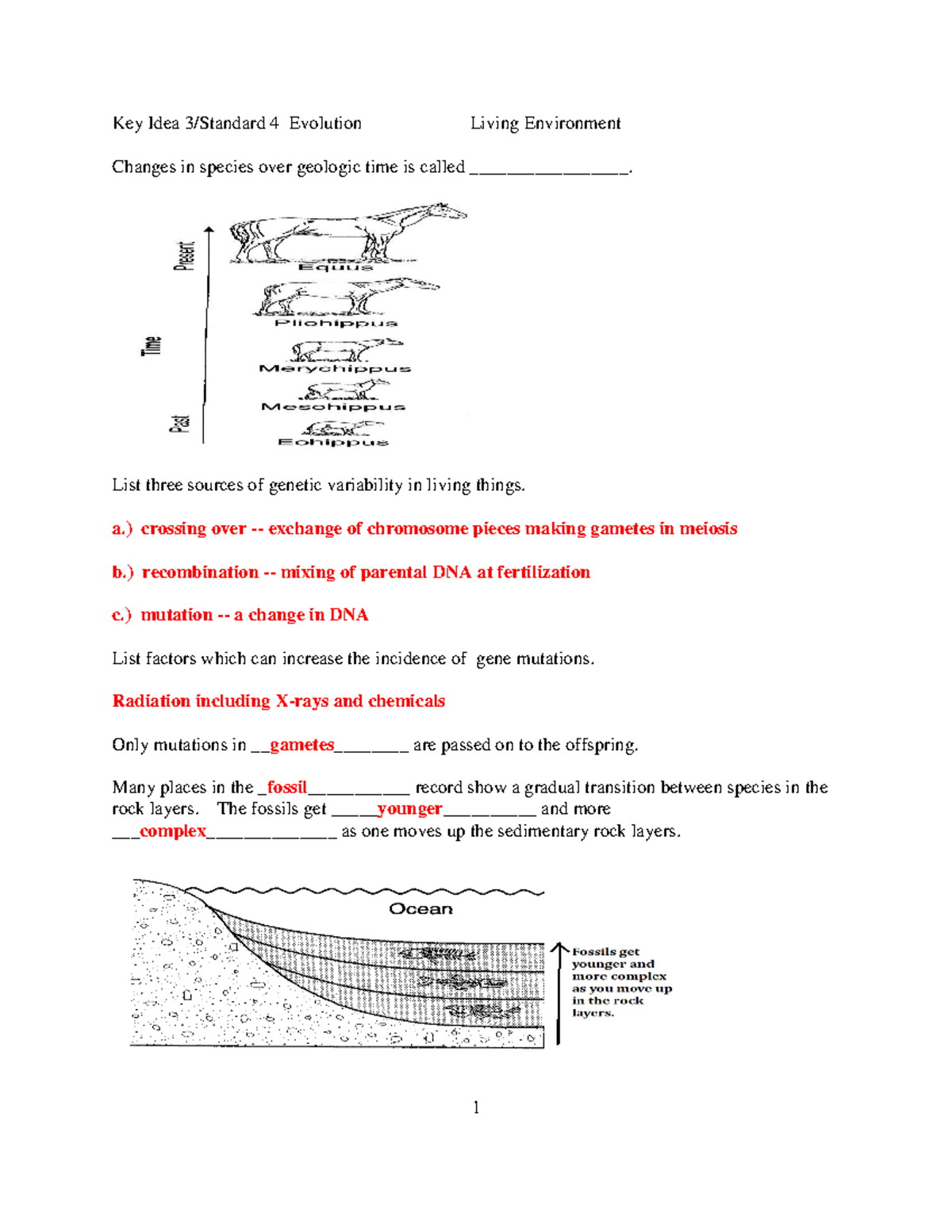 Evolution and Biodiversity: Adaptations, Extinction, and Genetic ...