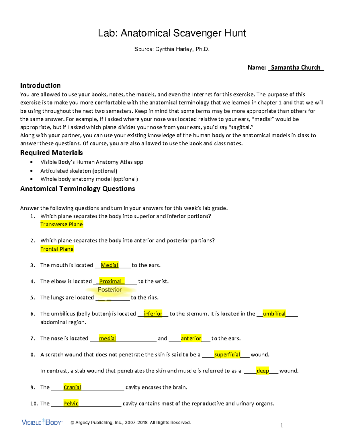 Lab 1 - Anatomical Scavenger Hunt: Terminology and Models Exercise ...