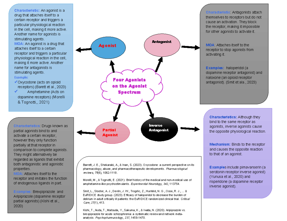 Agonists and Antagonists in Pharmacology: A Concept Map Guide - Studocu