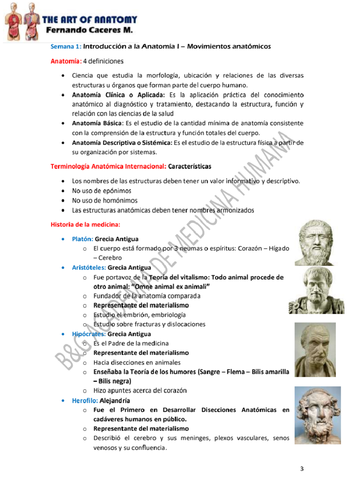 Anatomía: Introducción y Definiciones - Módulo 2DO Ciclo - Studocu
