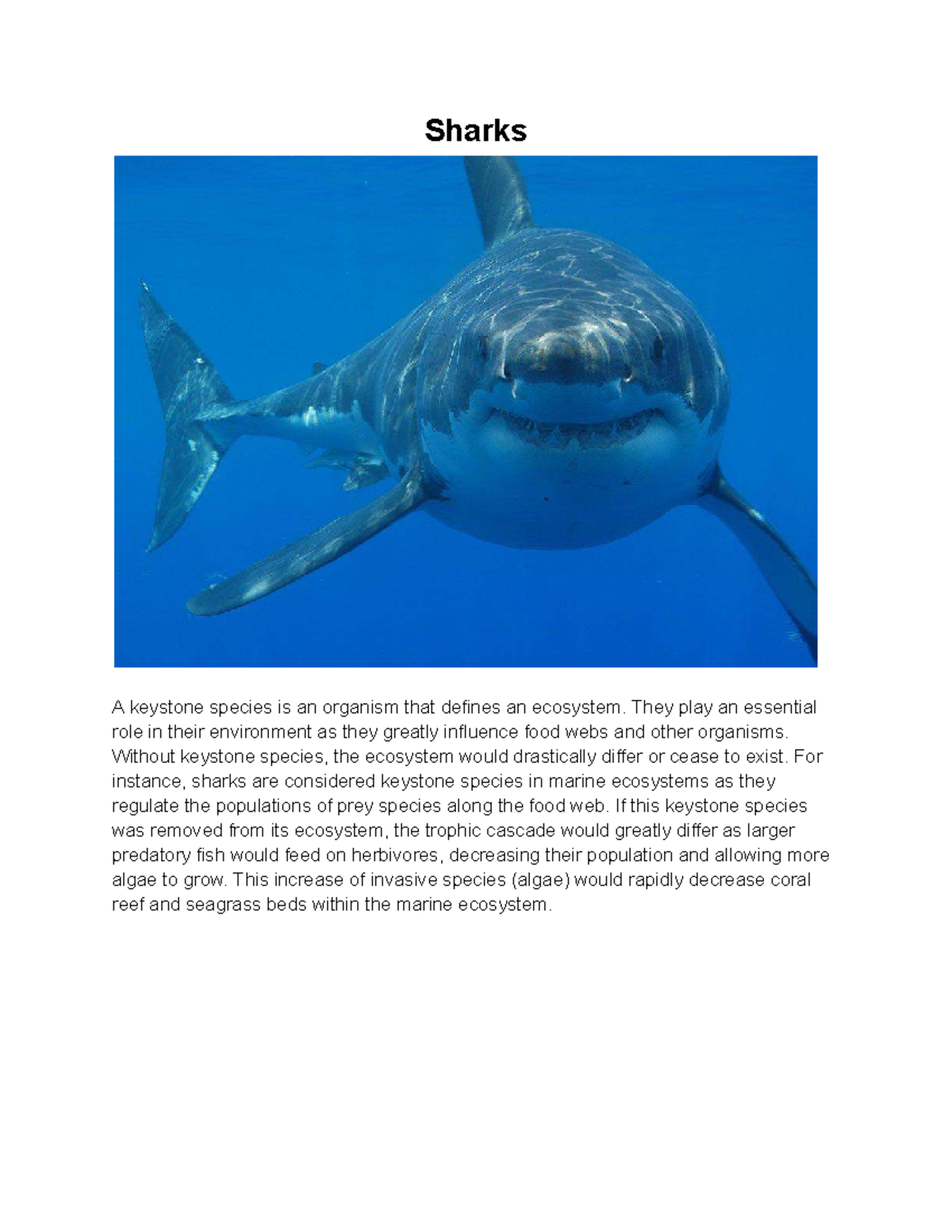 Keystone Species: The Role of Sharks in Marine Ecosystems - Studocu