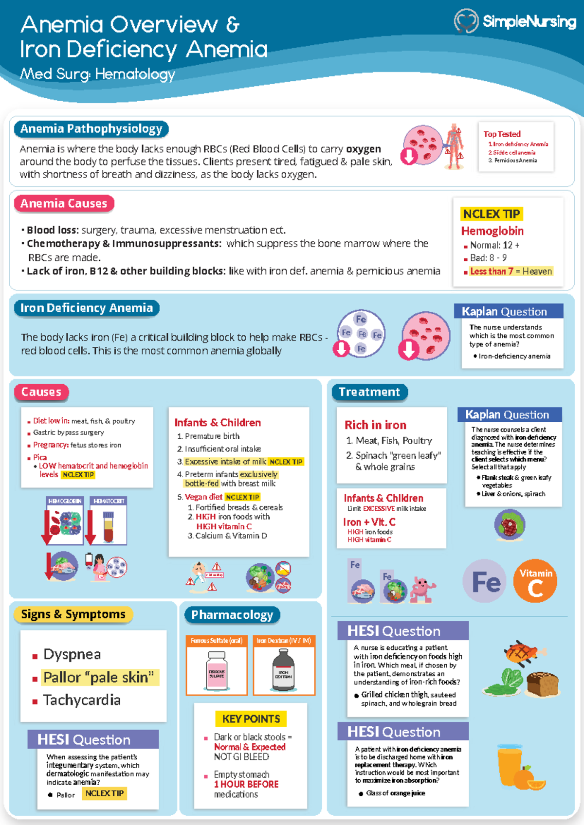 3.1 Med Surg: Anemia Overview & Iron Deficiency Anemia Insights - Studocu