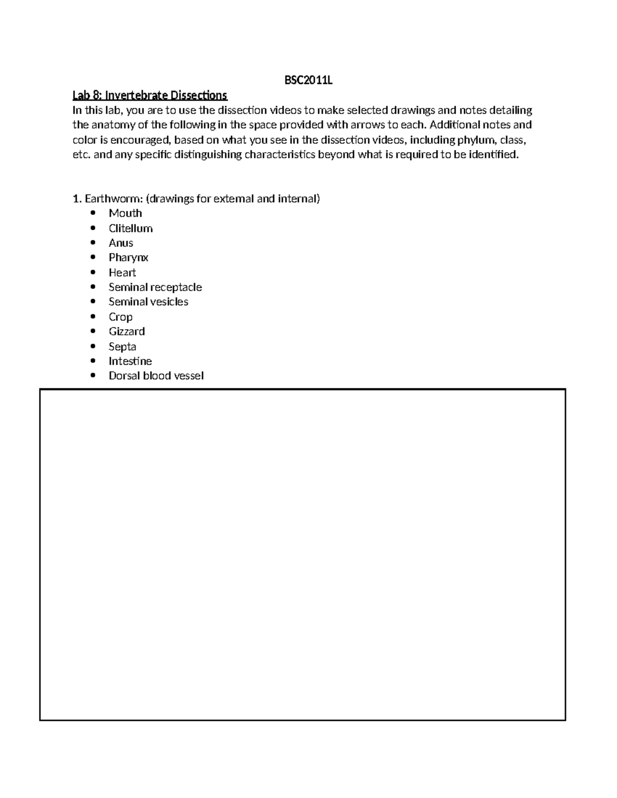 BSC2011L Lab 08: Invertebrate Dissection Drawings & Notes - Studocu