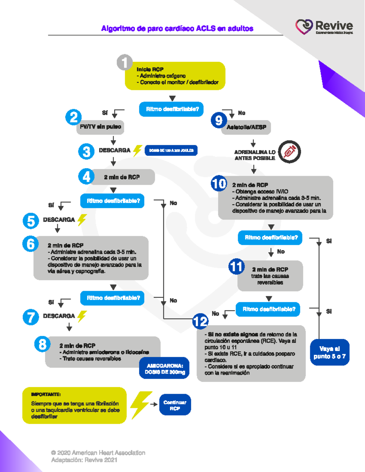 Algoritmo para Paro Cardíaco en Adultos - ACLS 2023 - Studocu