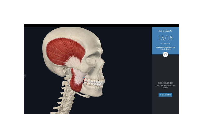 Lab Week 3 - Muscular System Quiz (C) - Studocu