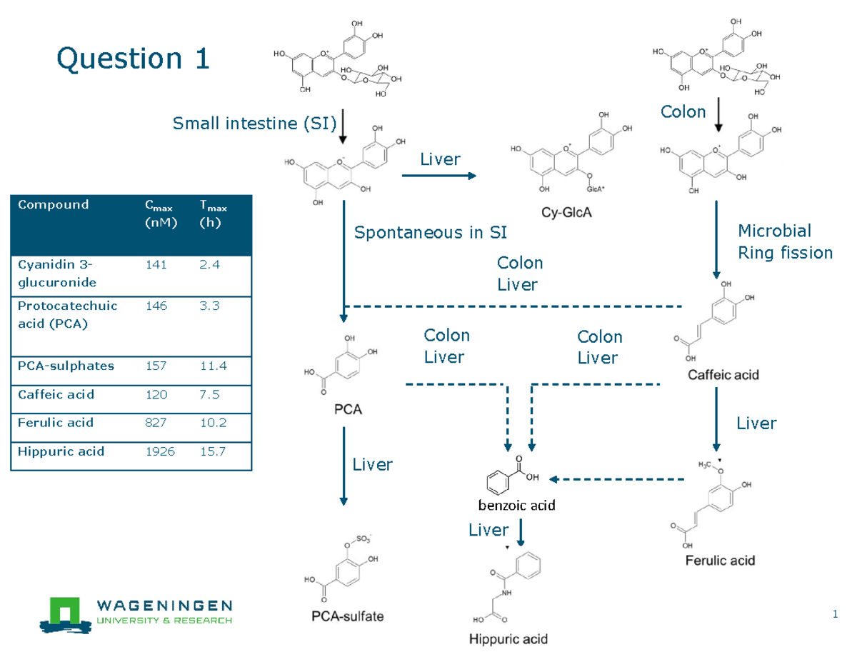 LFS 301: Tutorial Solutions for Metabolism and Microbial Studies ...