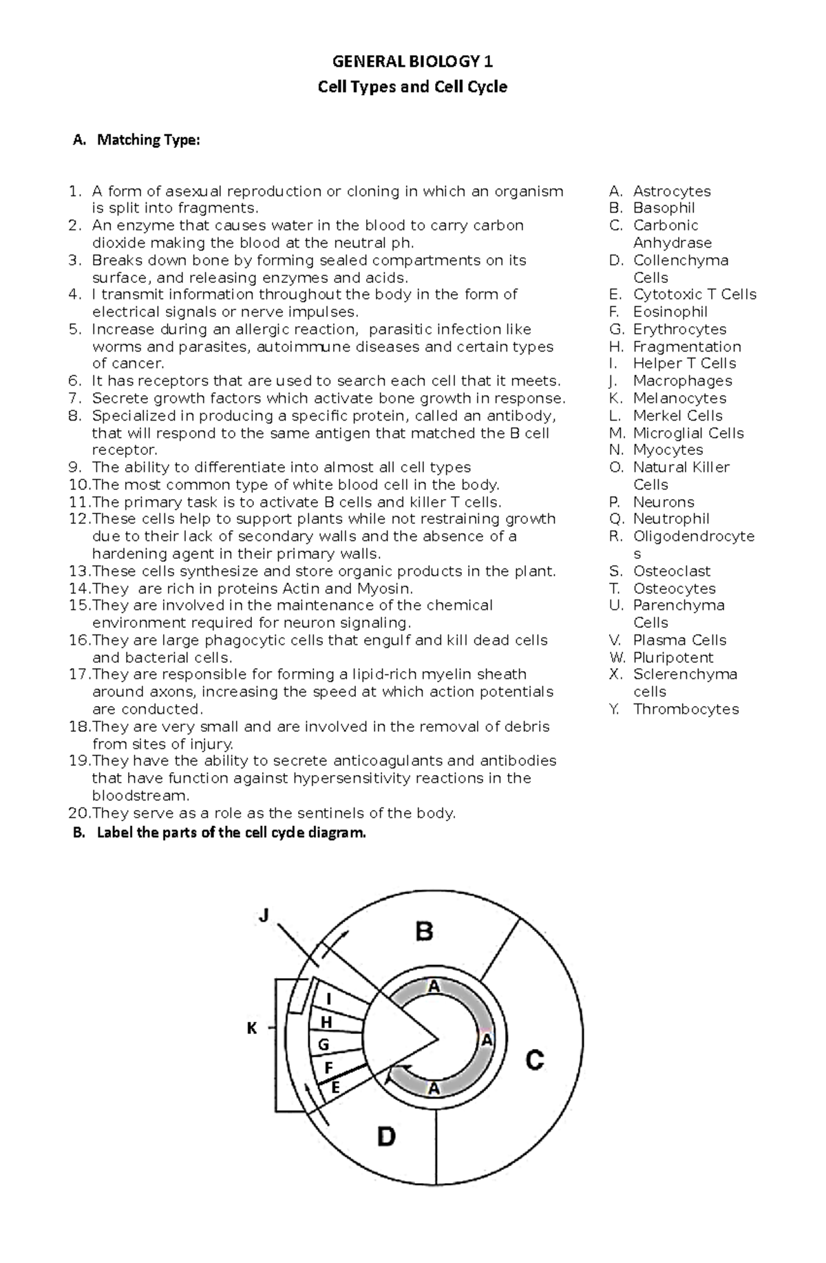 BIO 101: Quiz on Cell Types & Cell Cycle Concepts - Studocu