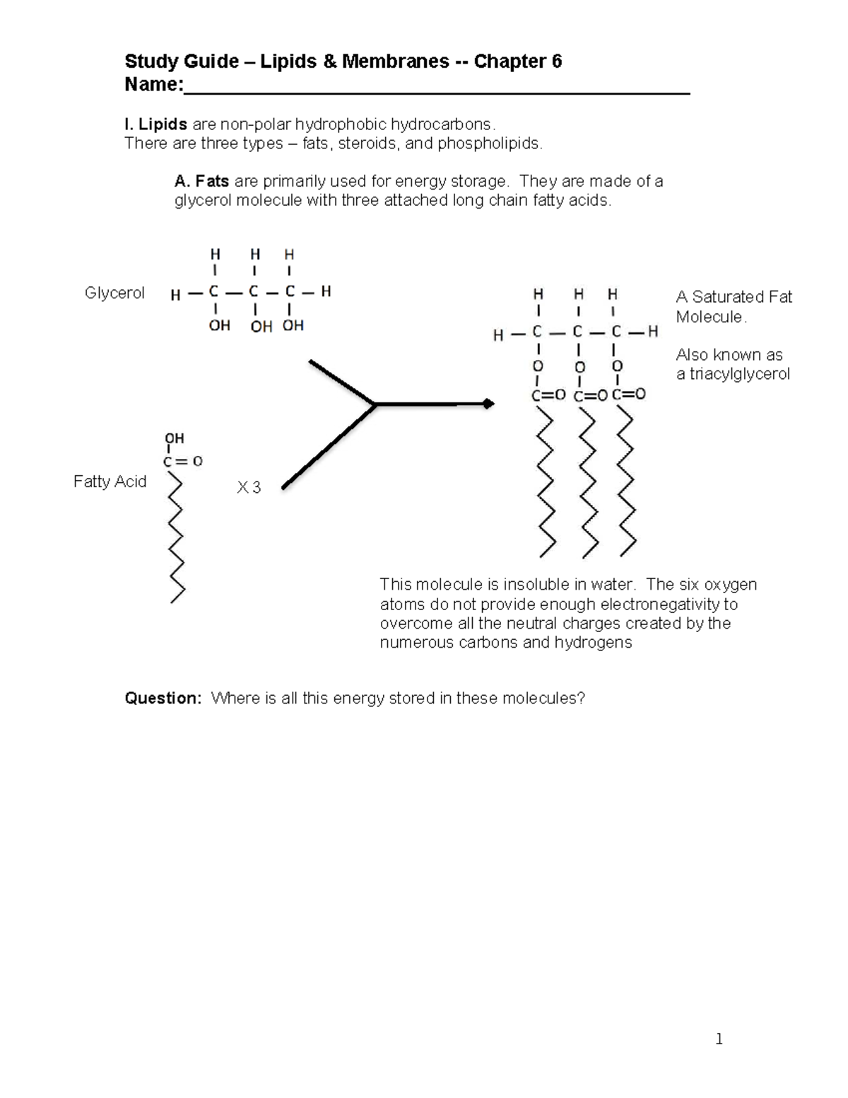 Study Guide: Lipids & Membranes - Chapter 6 Notes - Studocu