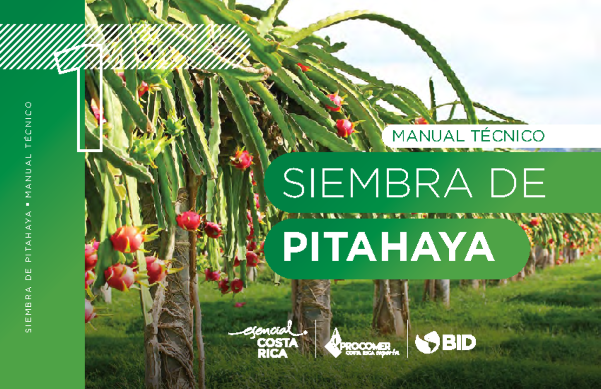 Manual de siembra pitahaya - MANUAL TÉCNICO SIEMBRA DE PITAHAYA S I E M B R A D E P I T A H AYA ...