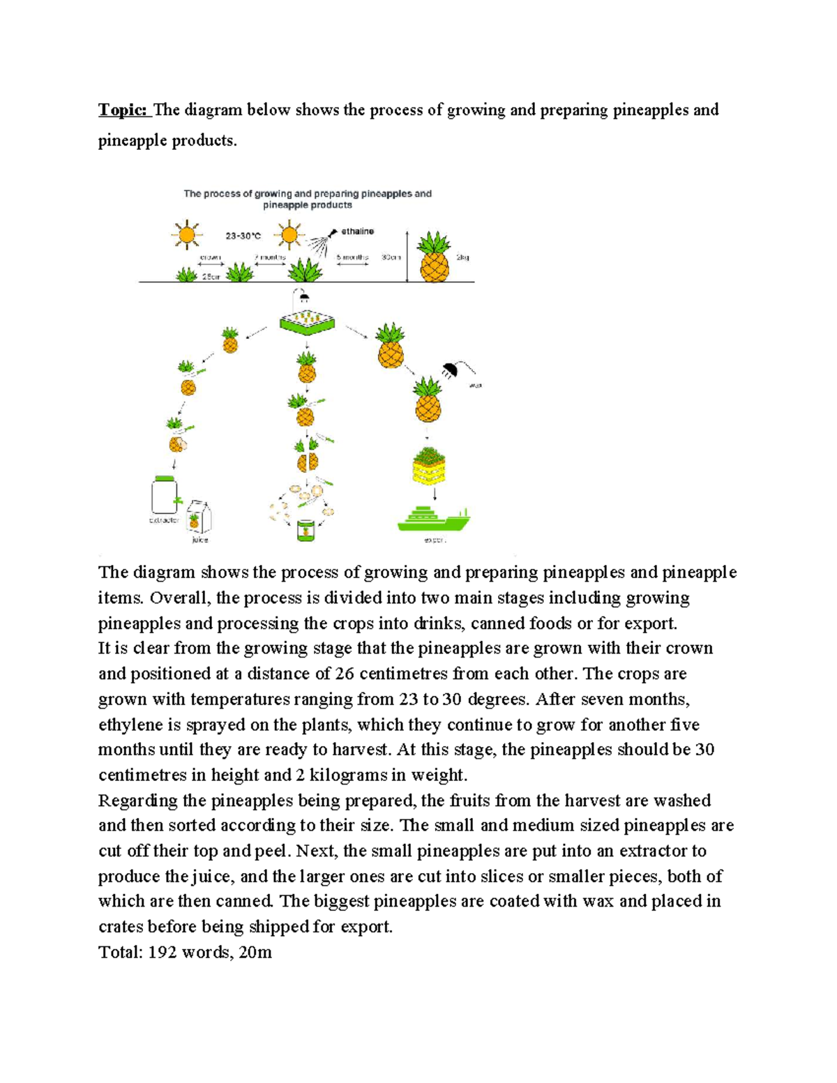 Process of Growing & Preparing Pineapples - Writing Task 1 - Studocu