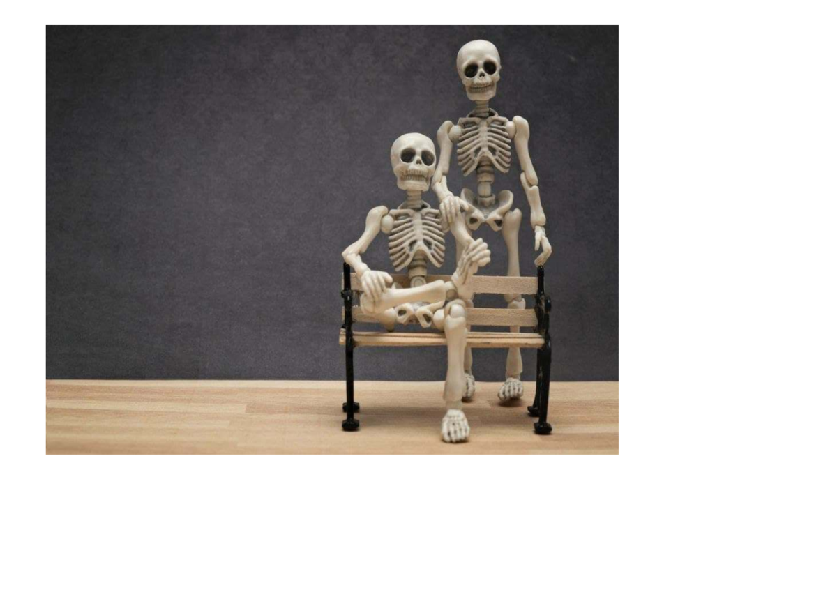 CAB 1 Bones and Joints Overview: Planes and Types of Bones - Studocu