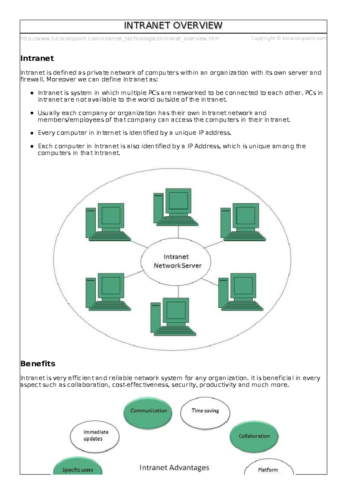 Web Intranet Overview: Understanding Private Networks and Their ...