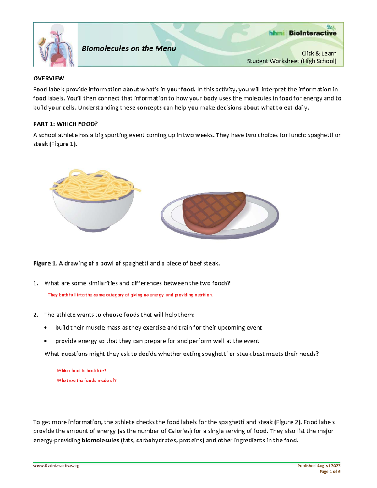 Biomolecules on the Menu: Food Labels & Nutritional Choices (HS) - Studocu