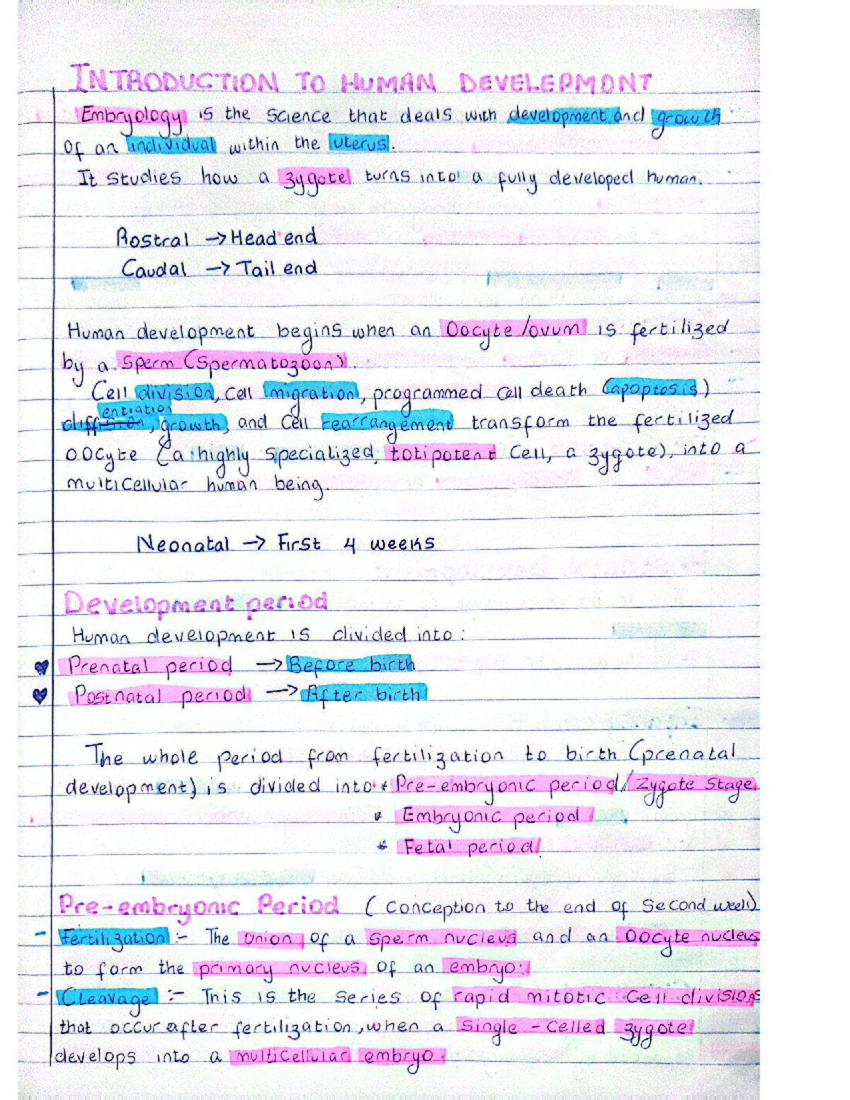 Introduction to Embryology - INTRODUCTION TO HUMAN DEVELEPMONT ...