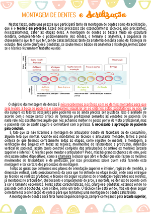 PPR - estudo da biomecânica - AULA 7 ESTUDO DA BIOMECÂNICA Linha de ...