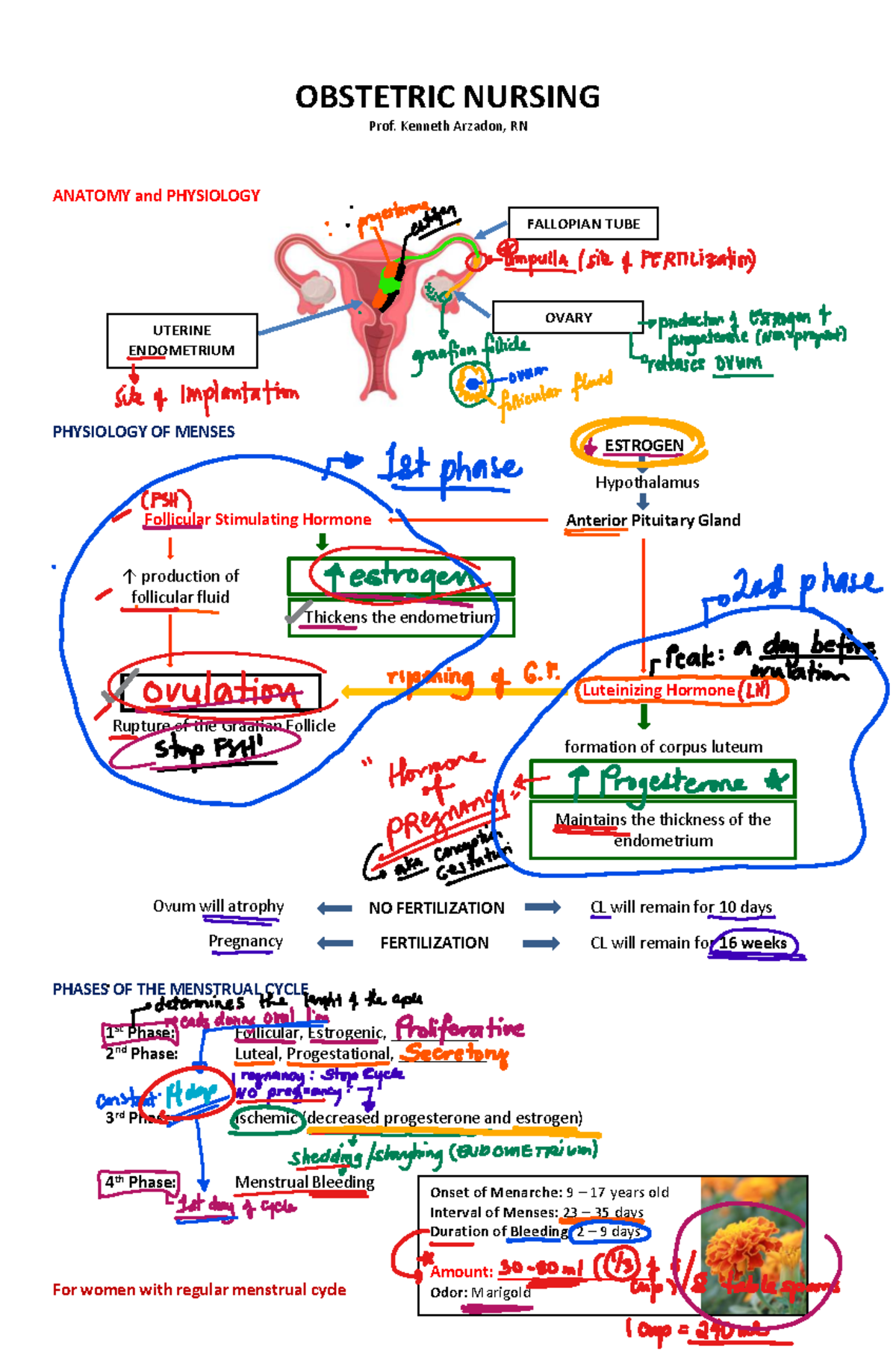 2025-OB- Final Exam Study Guide: Obstetric Nursing Essentials - Studocu