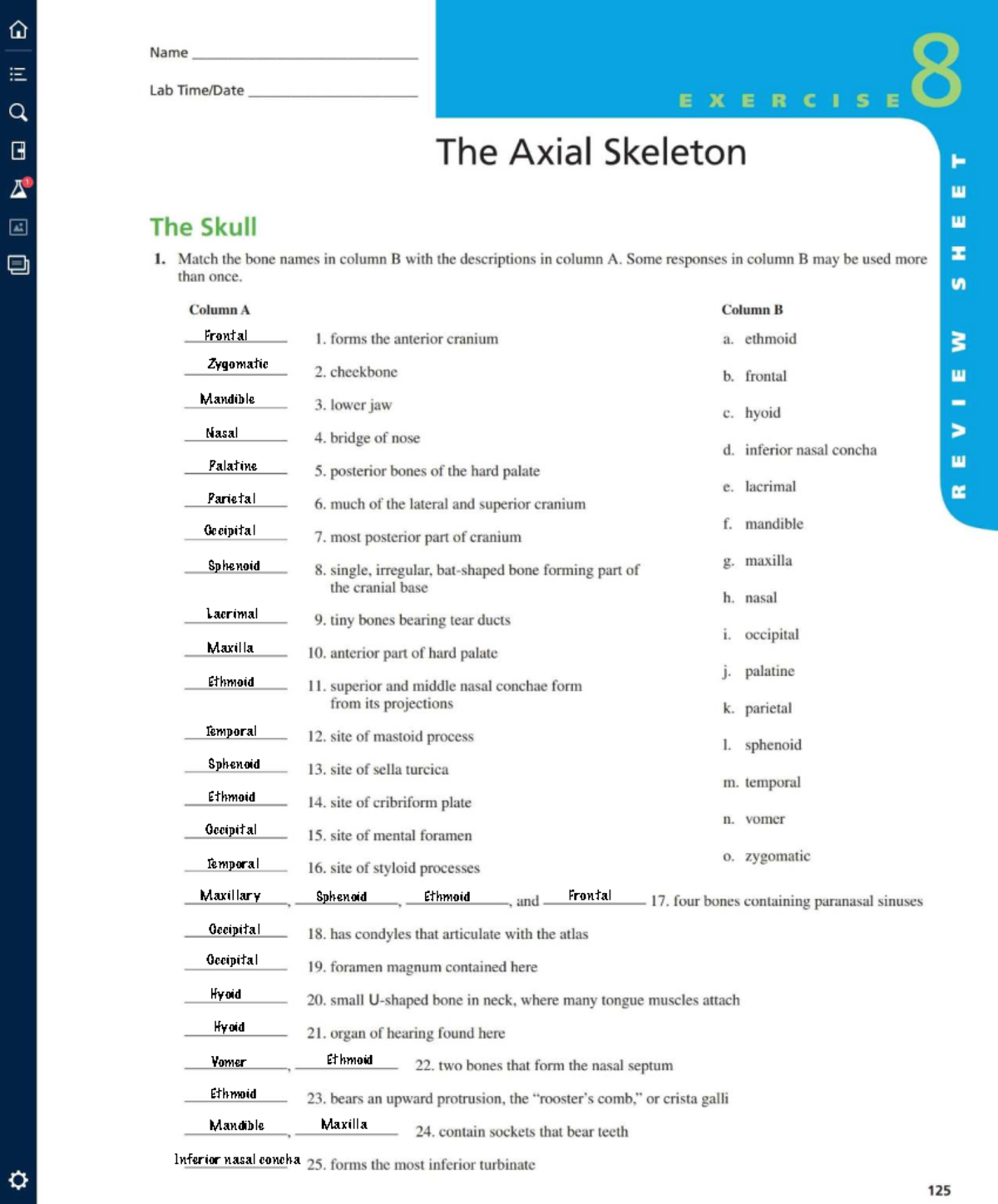 Human Anatomy Exercise 8: Skull and Vertebral Column Overview - Studocu