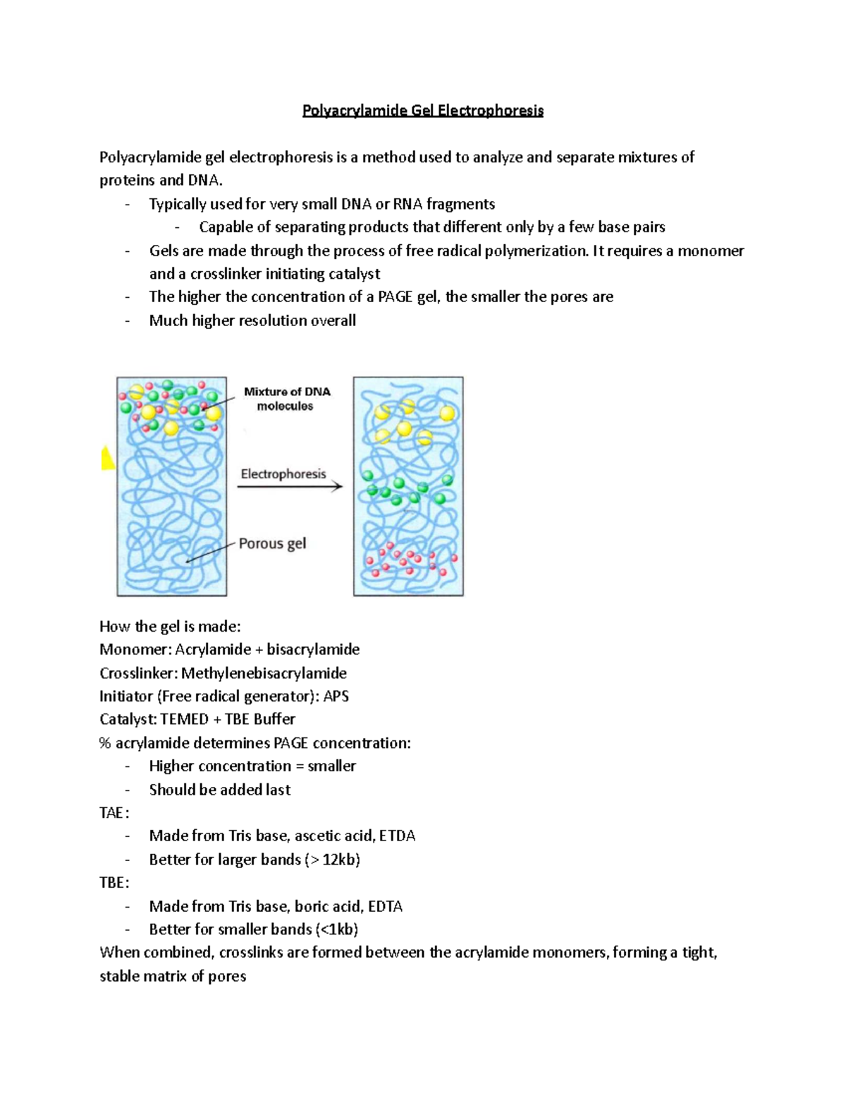 In-Lab Practical Notes on PAGE Gels (Polyacrylamide Gel Electrophoresis ...