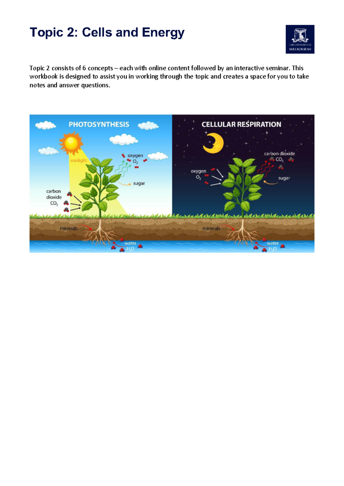 Topic 2: Cells and Energy Workbook 2025 - Concepts and Interactive ...