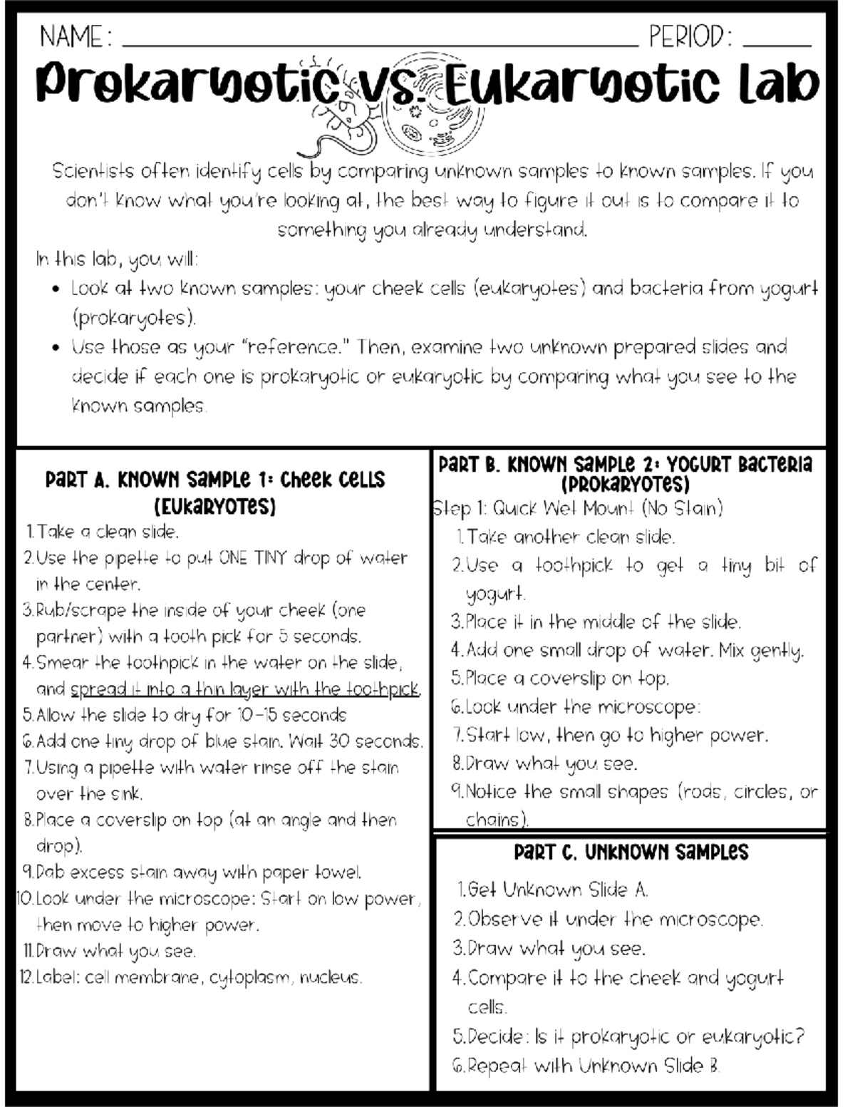 Prokaryotes vs Eukaryotes Lab (BIO101) - Cell Comparison Experiment ...