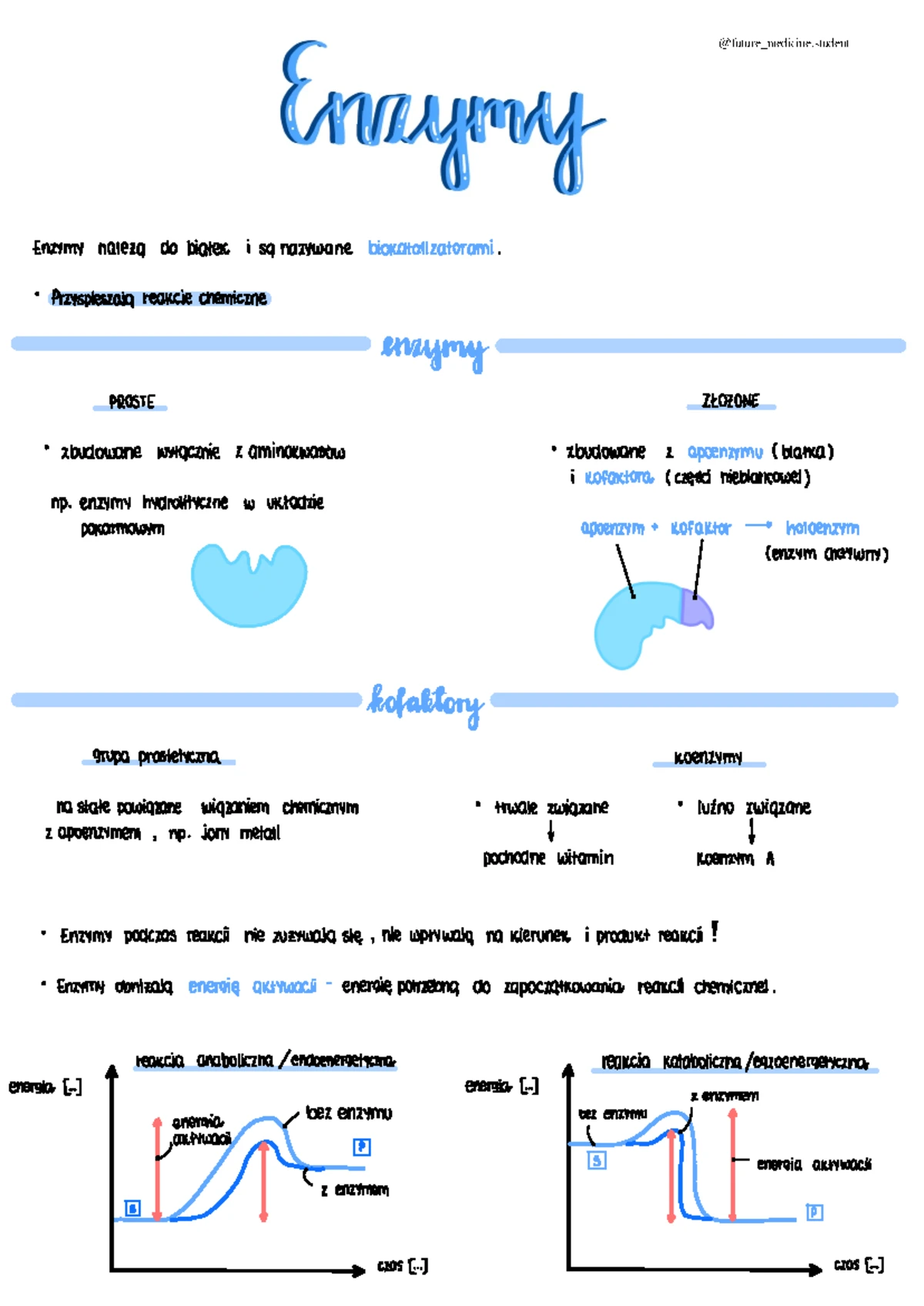 04 Podziały Komórkowe: Cykl, Regulacja i Mejoza - Studocu