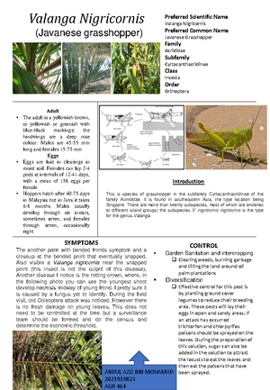 AGR 231 Case Study: Challenges of Soft Soil in Paddy Cultivation - Studocu