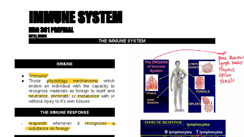 IMMUNE SYSTEM LECTURE NOTES: Mechanisms & Functions - Studocu