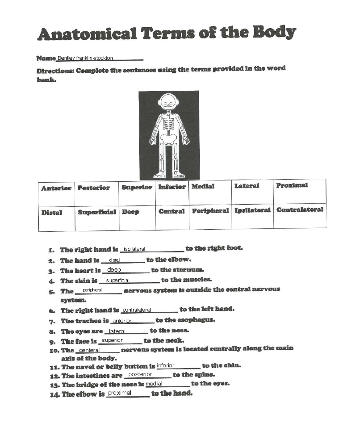 Anatomical Terminology and Reference Points - Anatomy Notes - NURS-1117 ...