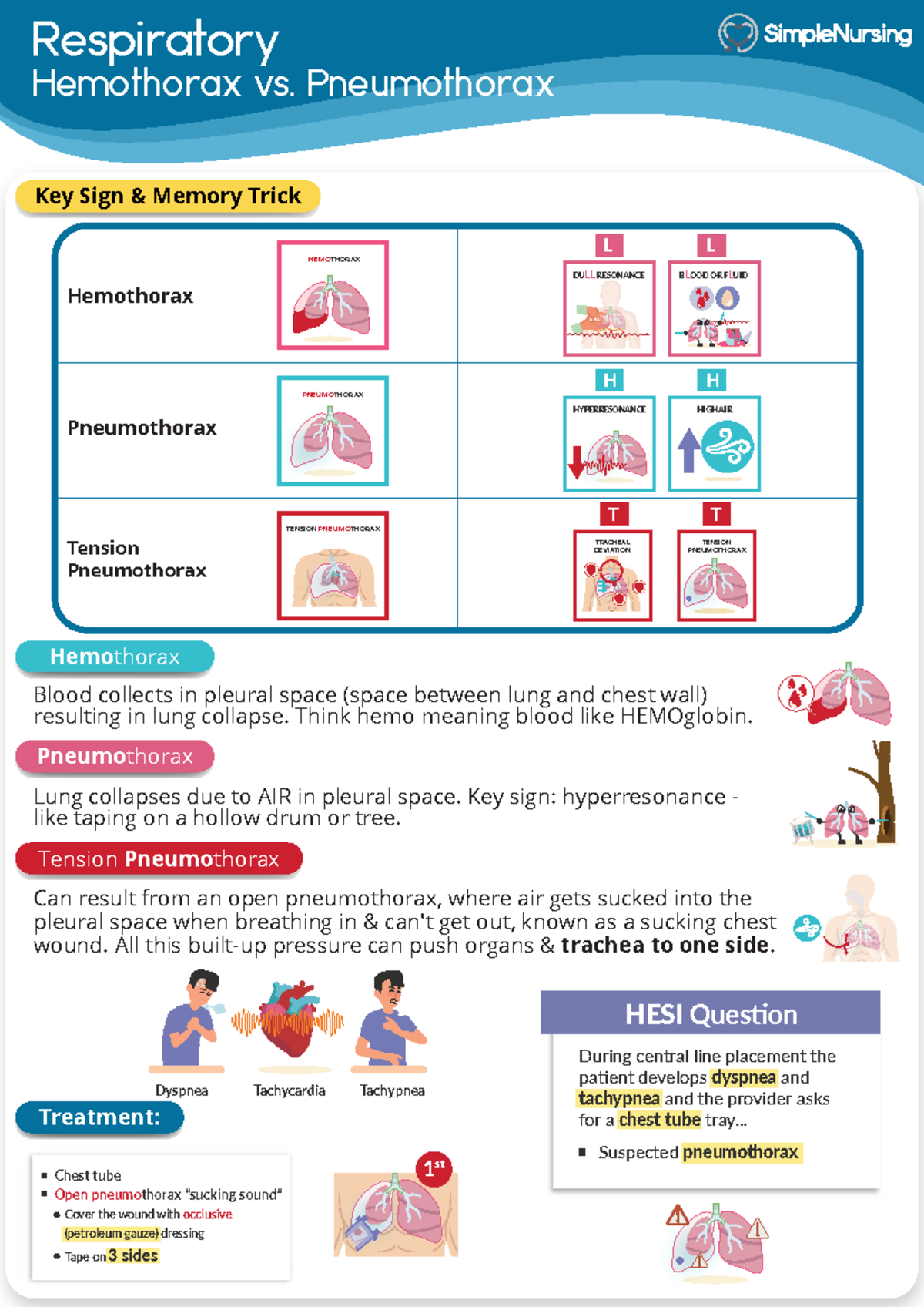 HESI 101: Hemothorax vs. Pneumothorax Key Concepts & Treatment Notes ...
