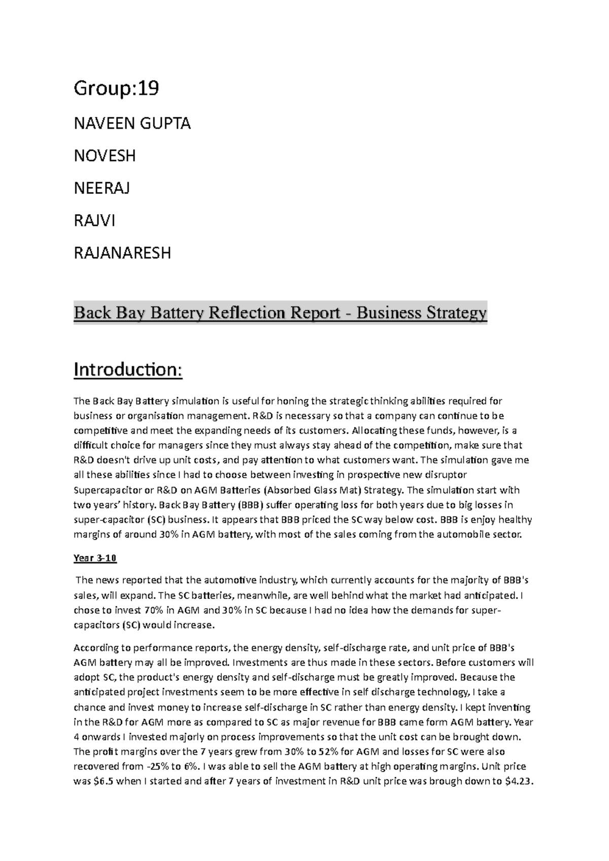 Back Bay Battery Reflection Report - Business Strategy Group 19 ...