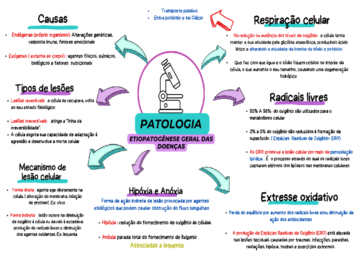 PDF- estudos patologia geral - Patologias - Studocu